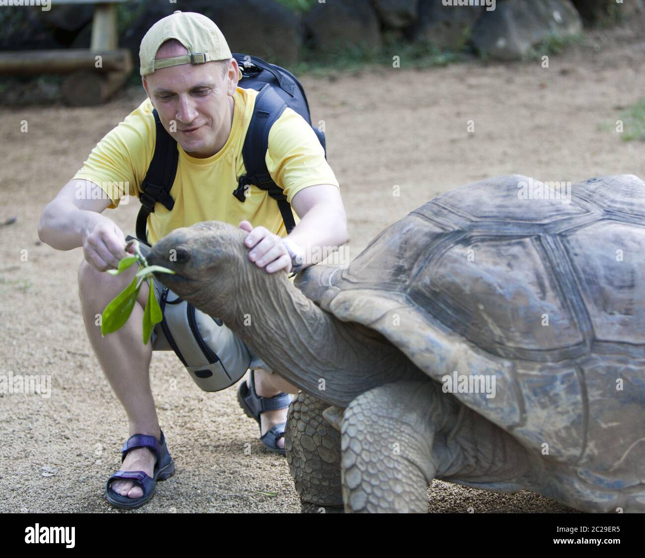 The man the tourist feeds a turtle Stock Photo - Alamy