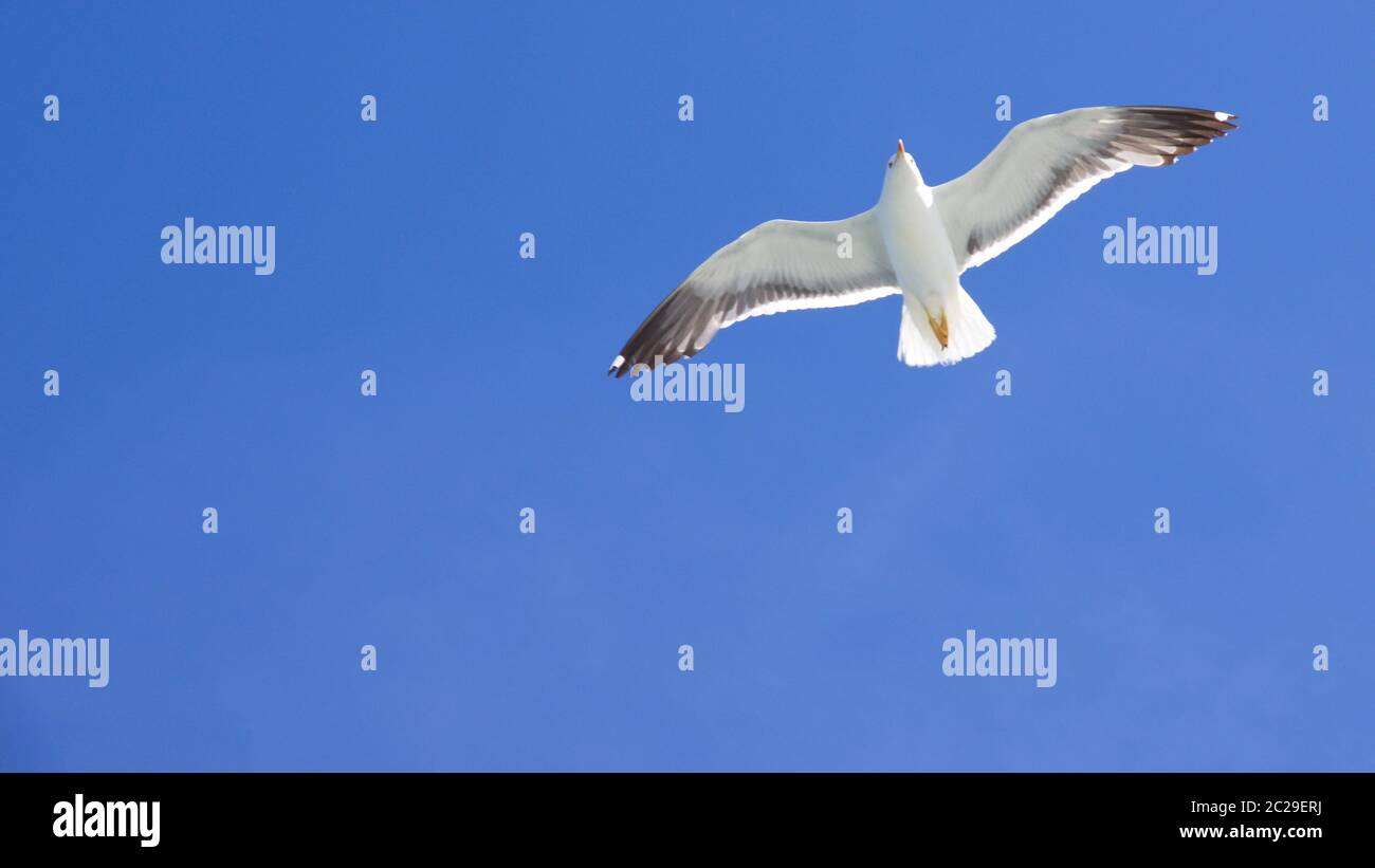 Fliegende wolken hi-res stock photography and images - Alamy