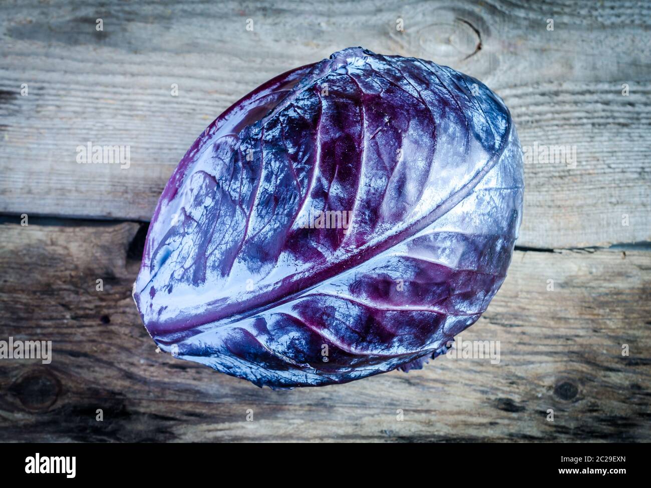 One red cabbage hi-res stock photography and images - Alamy
