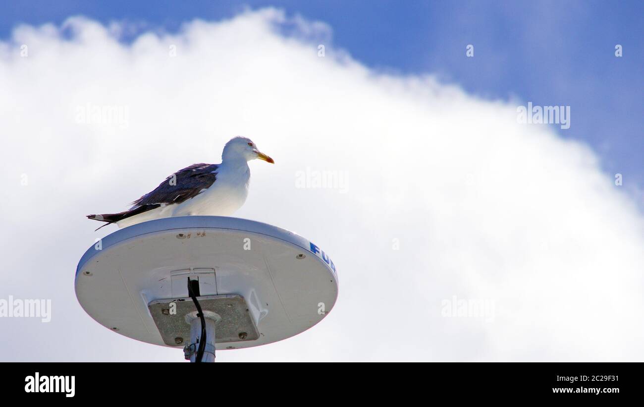 Die antenne hi-res stock photography and images - Alamy