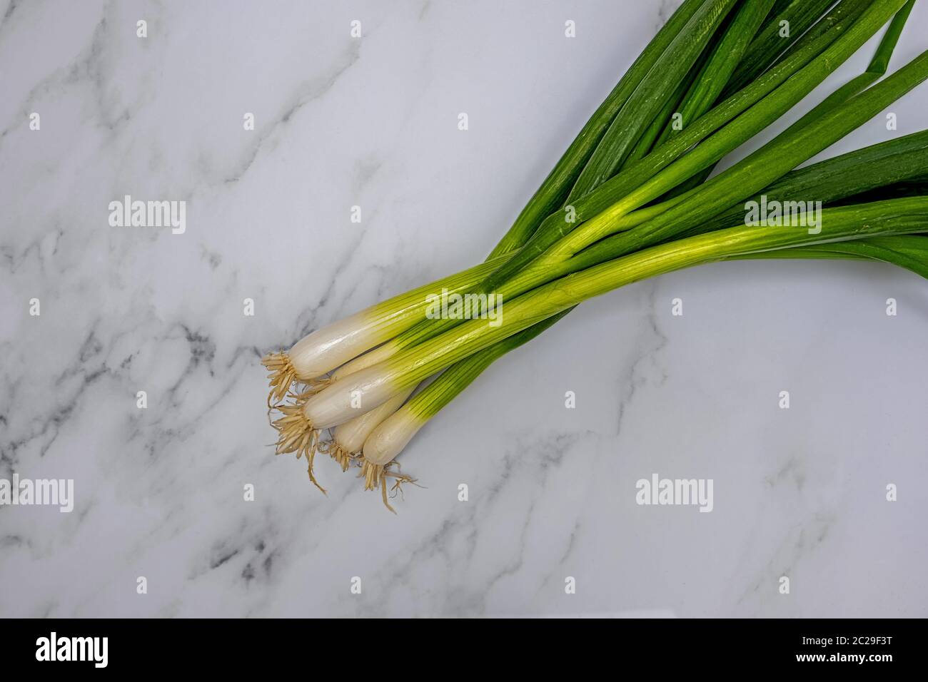 a bunch of spring onions with roots Stock Photo - Alamy