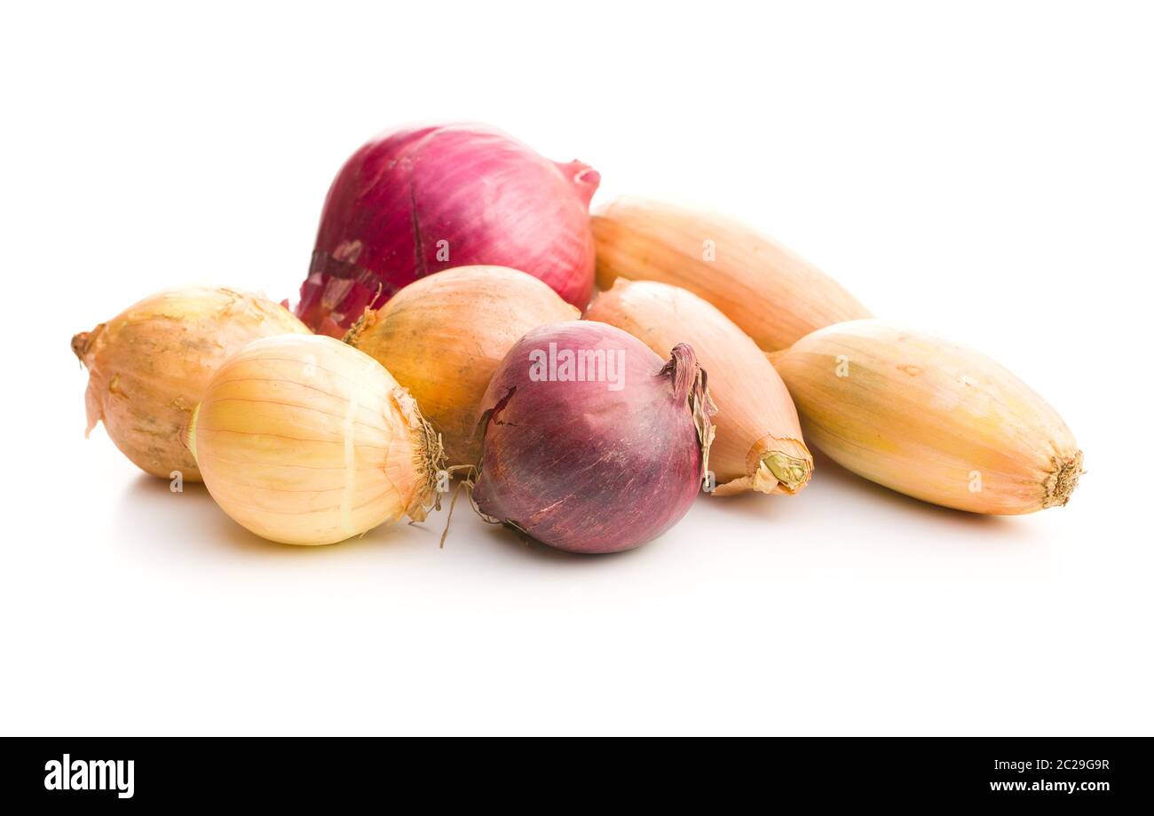 The golden shallot onion. Fresh bulbs isolated on white background ...
