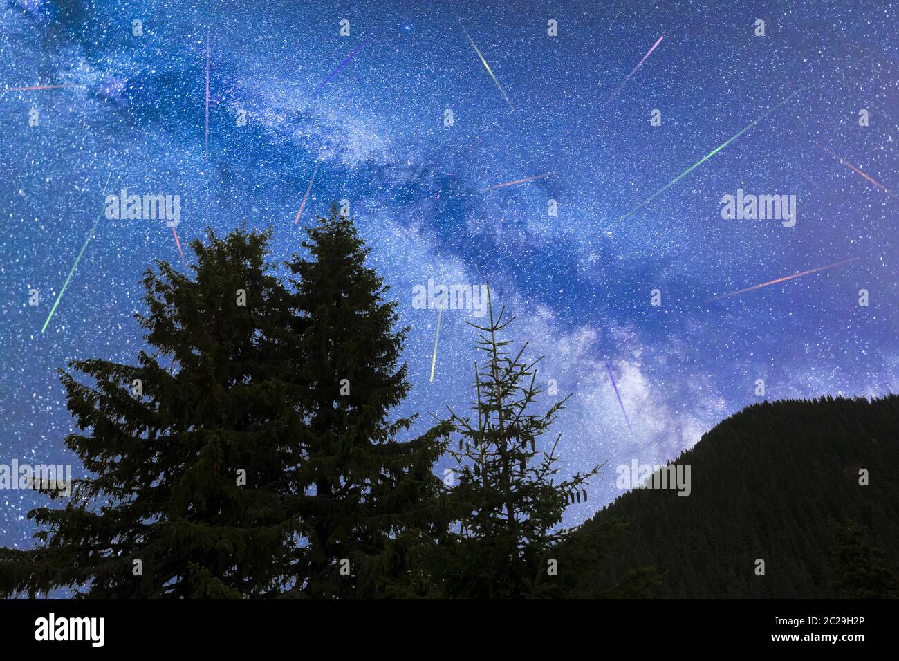 Blue Milky way falling stars pine trees silhouette Stock Photo - Alamy