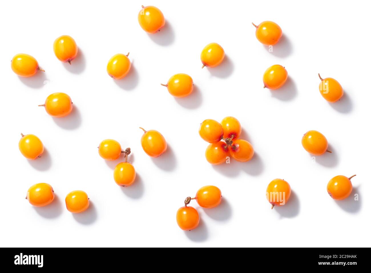 Sea buckthorn (Hippophae rhamnoides), berries, isolated, top view Stock ...
