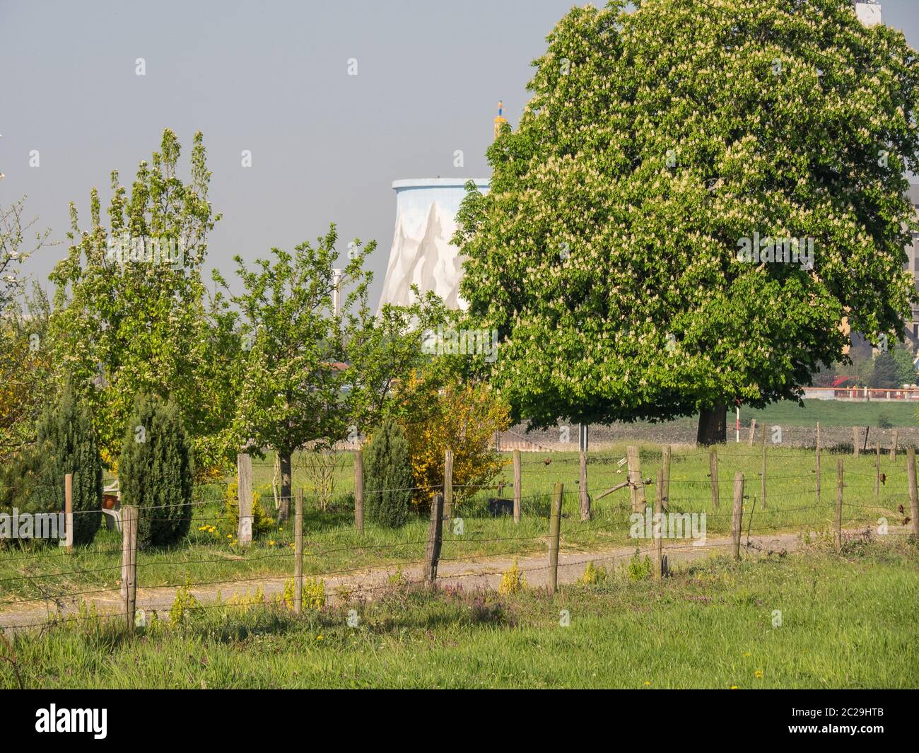 The river rhine in germany Stock Photo - Alamy