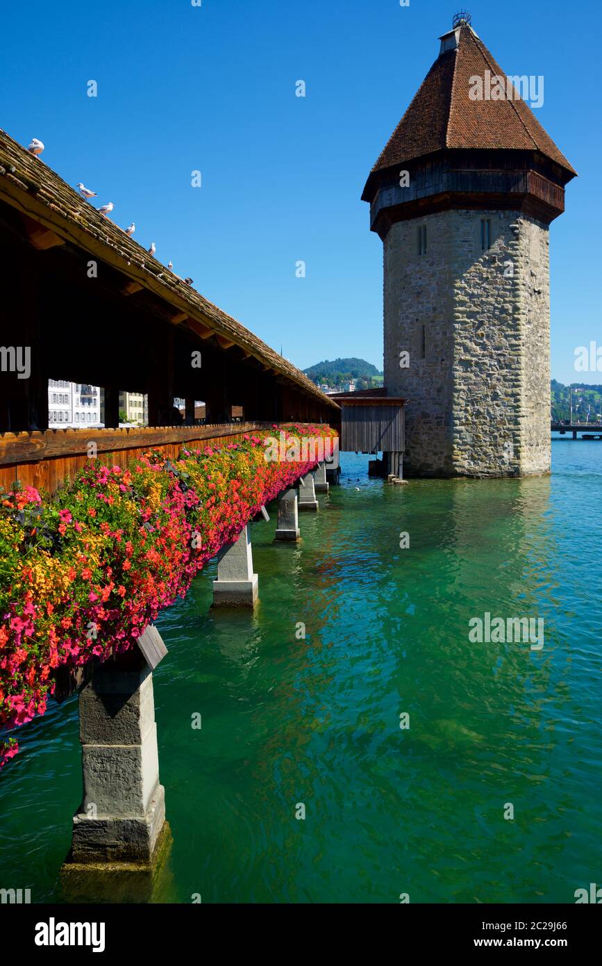 Famous Chapel Bridge view in old town of Lucerne in Switzerland Stock ...