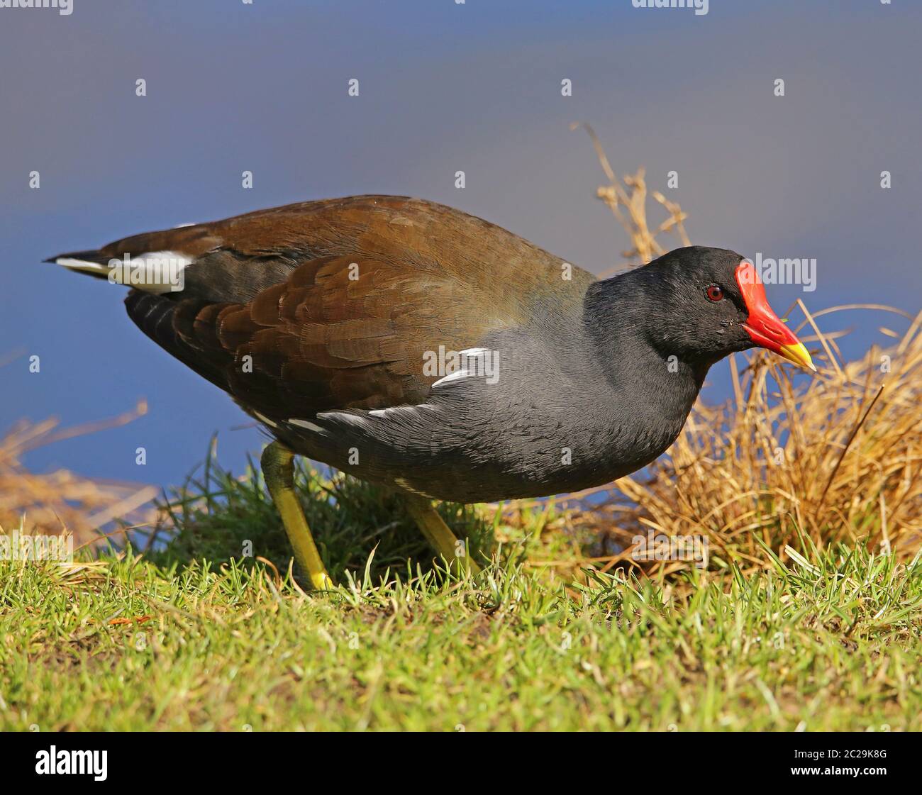 March rail hi-res stock photography and images - Alamy