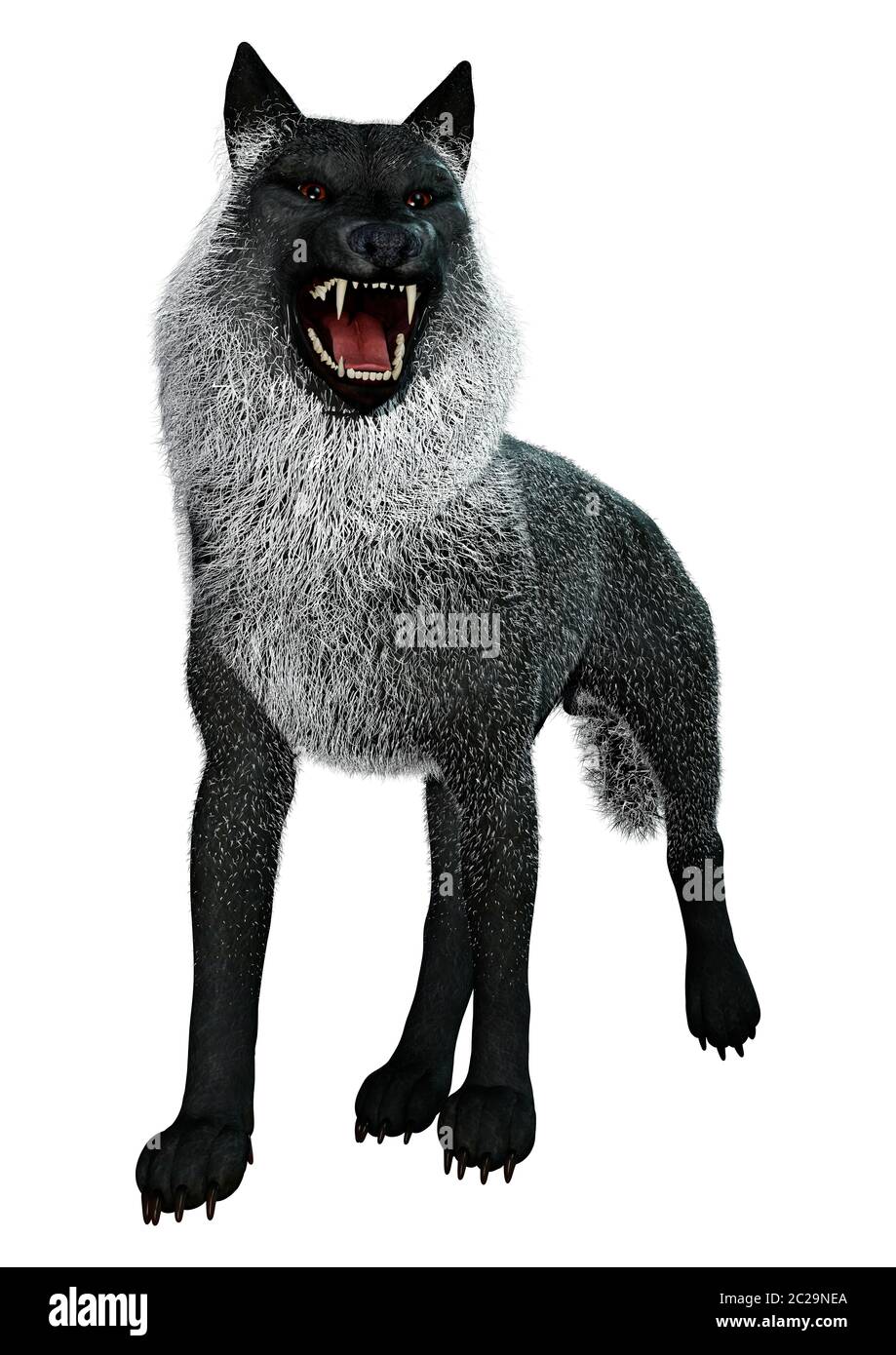 3D rendering of a black wolf isolated on white background Stock Photo ...