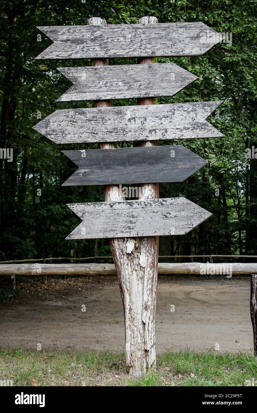 Wooden signpost in the front of the forrest Stock Photo - Alamy