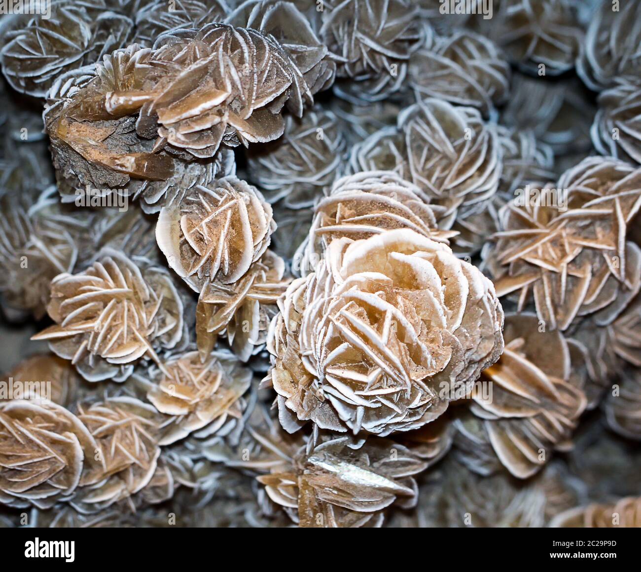 gemstones, shells, fossils and semi-precious stones with beautiful ...