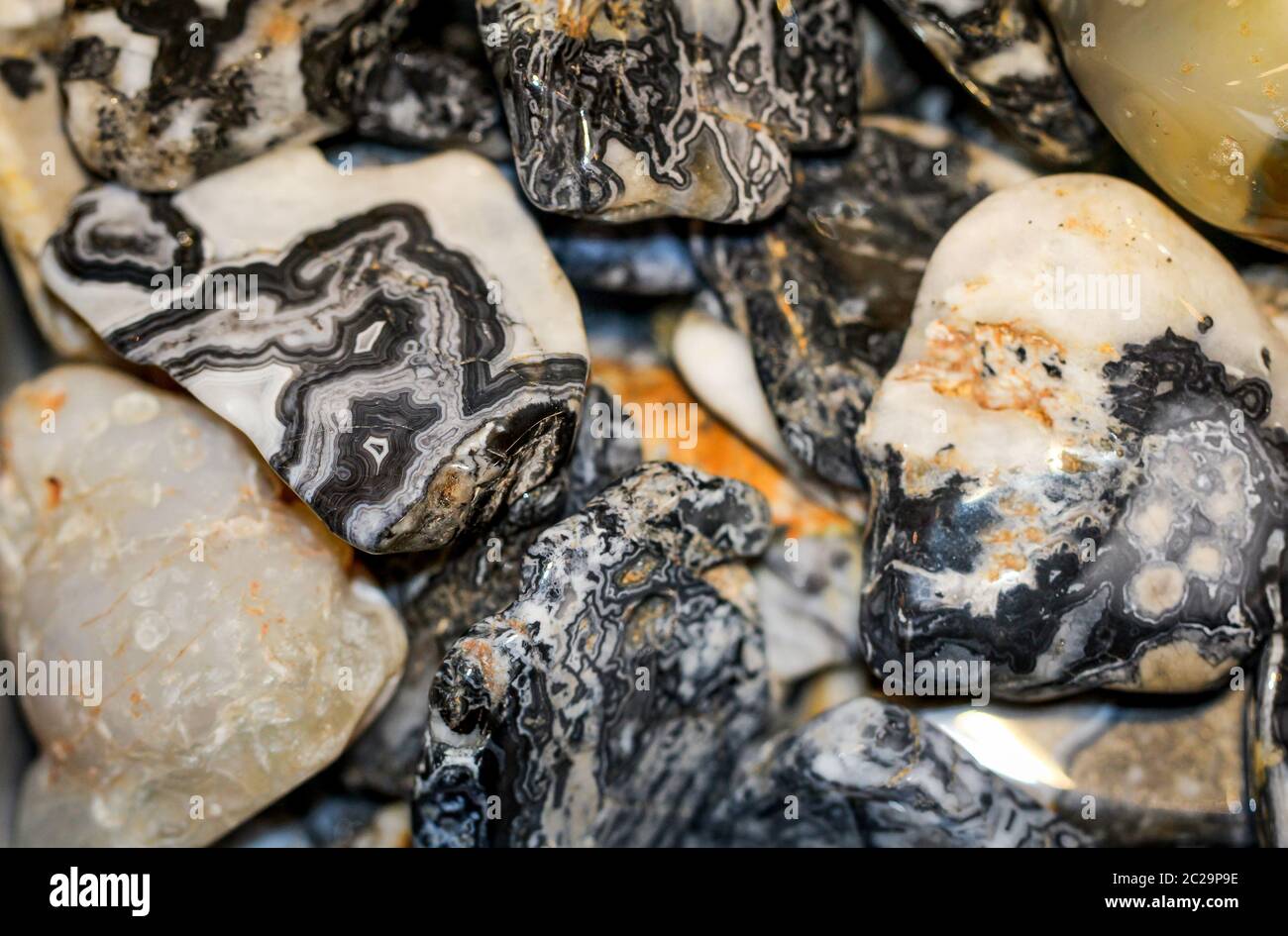 gemstones, shells, fossils and semi-precious stones with beautiful ...