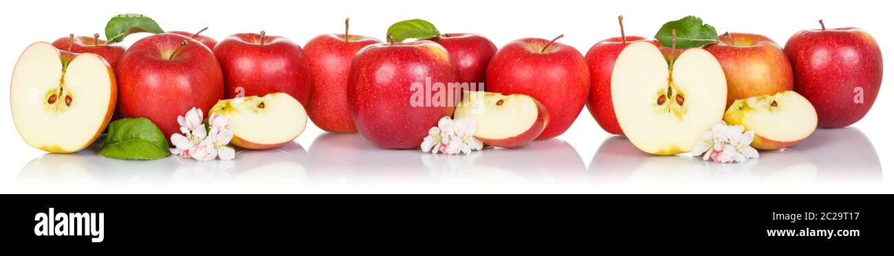 Red apple fruits apples fruit isolated on a white background in a row ...