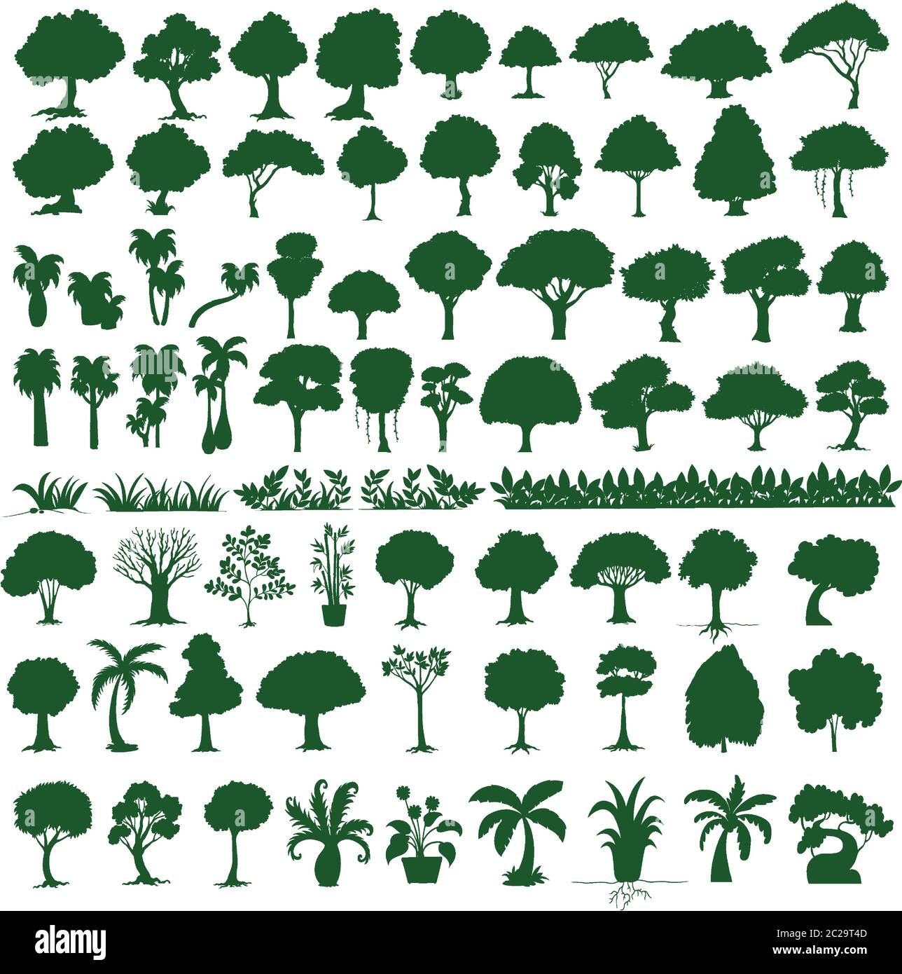 Silhouette beautiful palm tree in Cut Out Stock Images & Pictures - Alamy