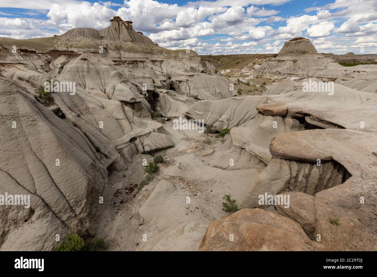 The Badlands in the Prairie of Alberta in Canada Stock Photo - Alamy