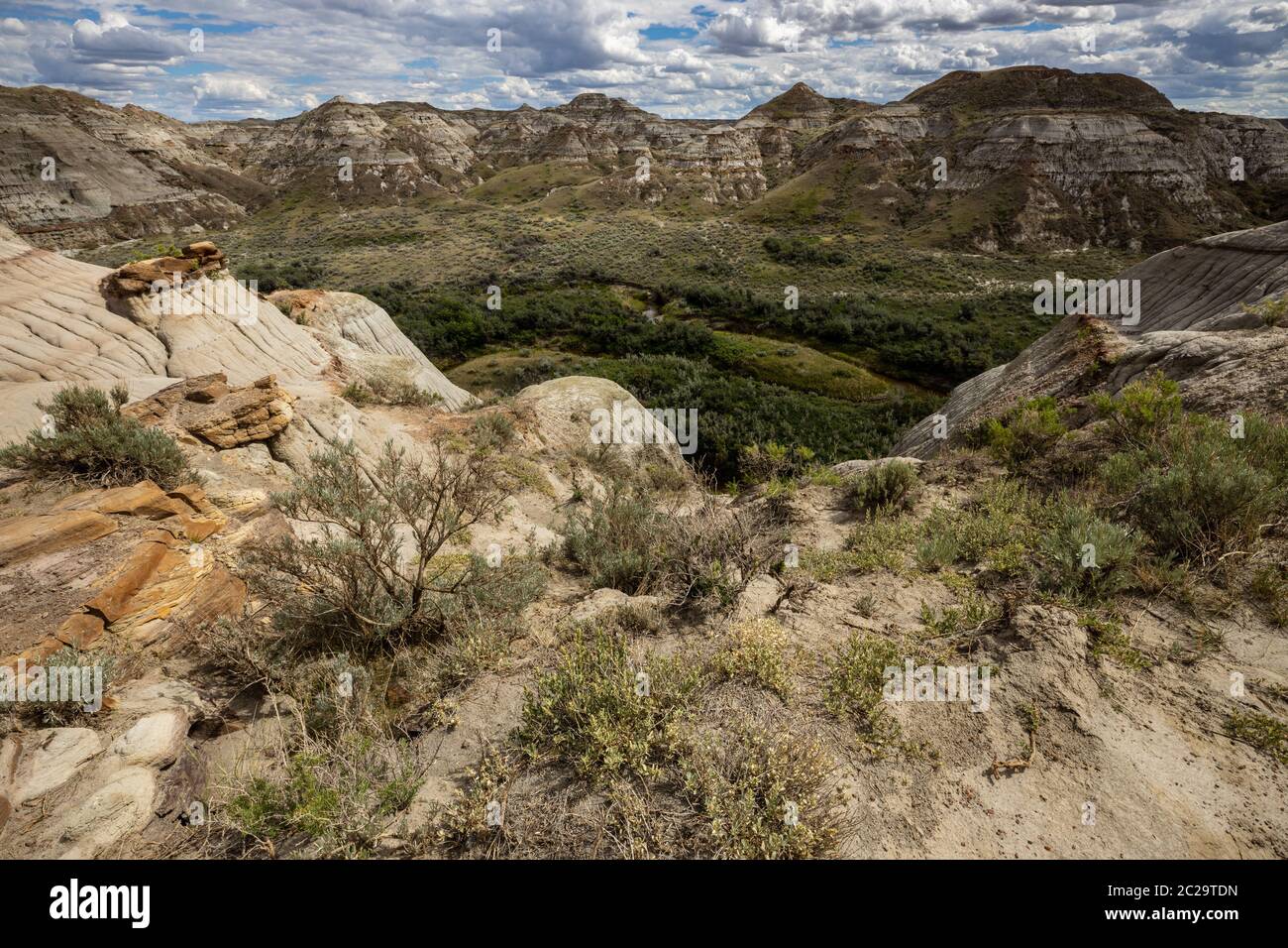 The Badlands in the Prairie of Alberta in Canada Stock Photo - Alamy