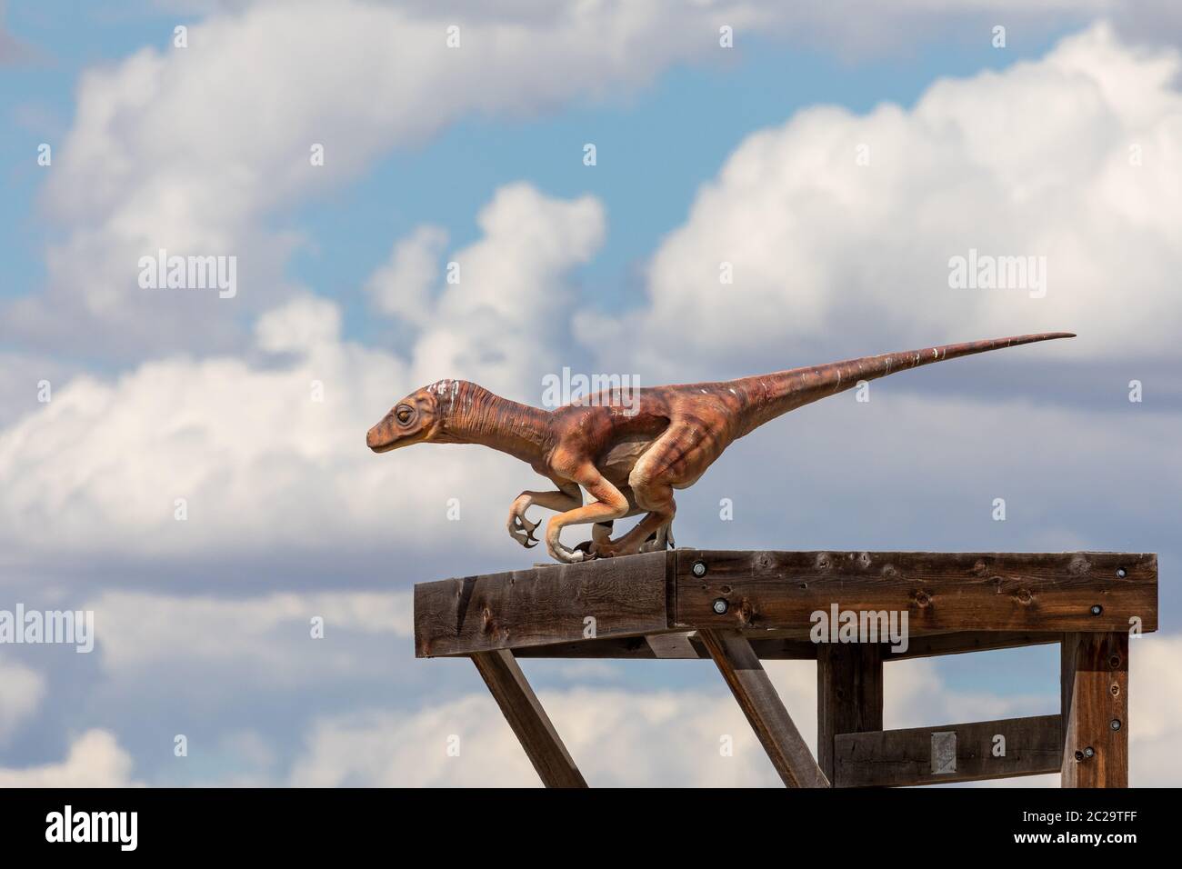 Raptor dinosaur hi-res stock photography and images - Alamy