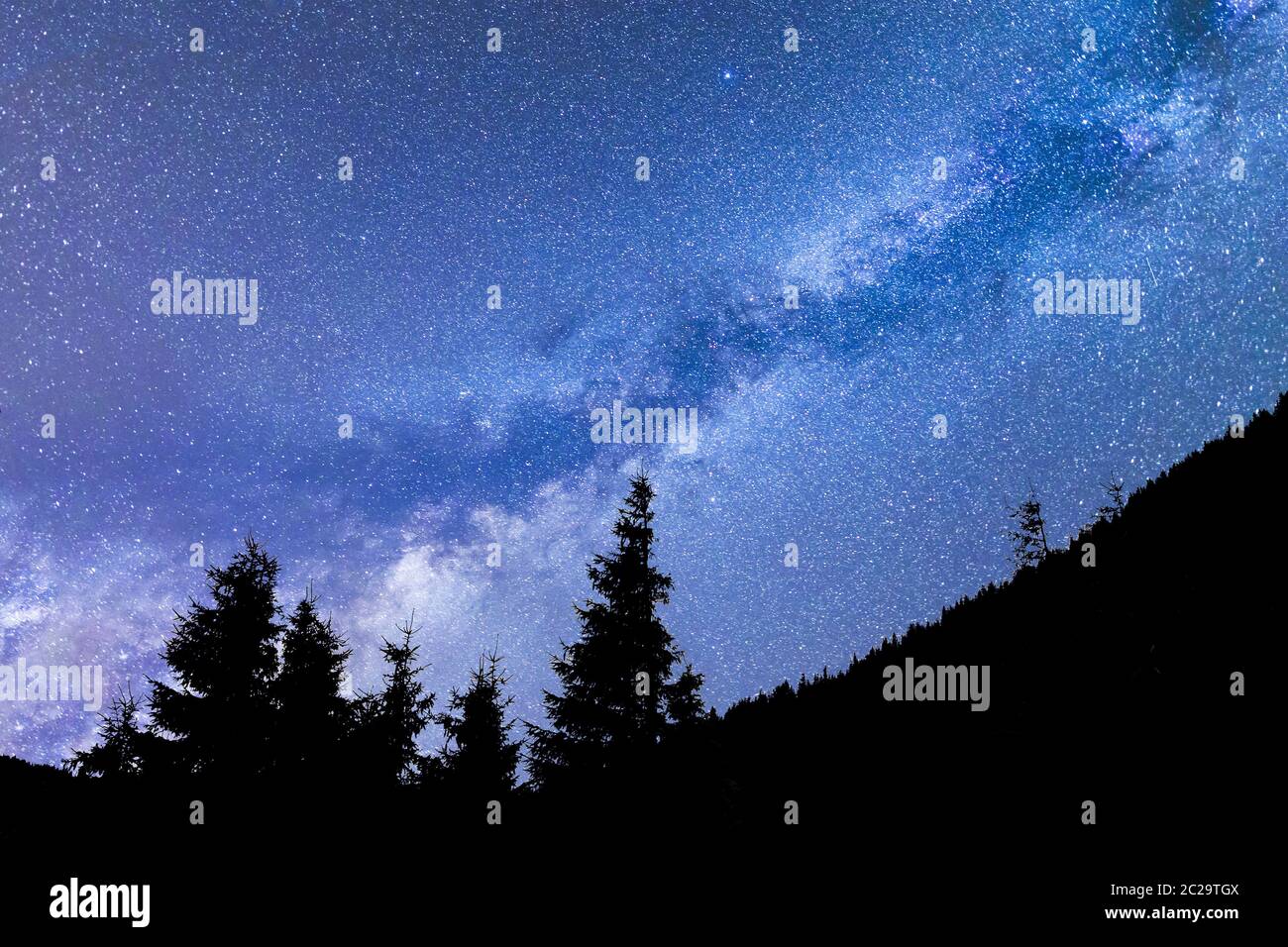 Blue Milky way falling stars pine trees silhouette Stock Photo - Alamy