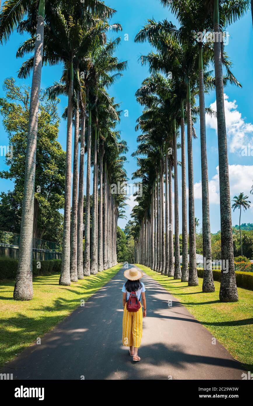 Woman exploring palm alley at Royal Botanical Gardens in Kandy Sri ...