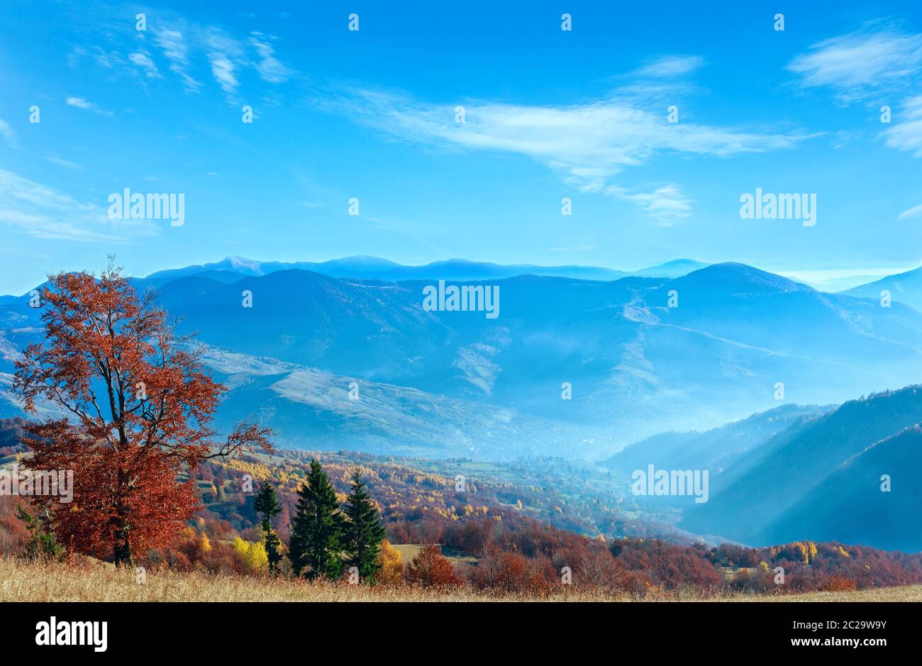 Carpathian autumn hi-res stock photography and images - Alamy