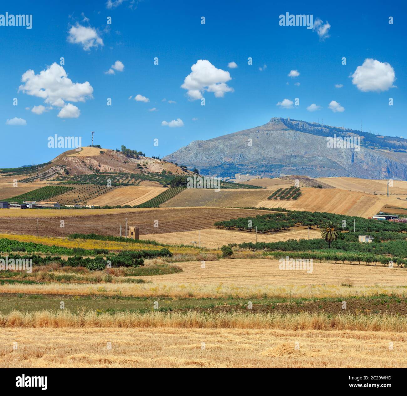 Sicily summer agriculture countryside, Italy Stock Photo - Alamy