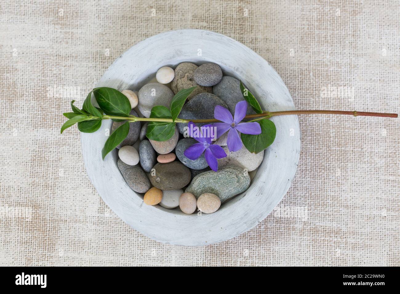 Flower arrangement zen style with pebble and a concrete bowl on white ...
