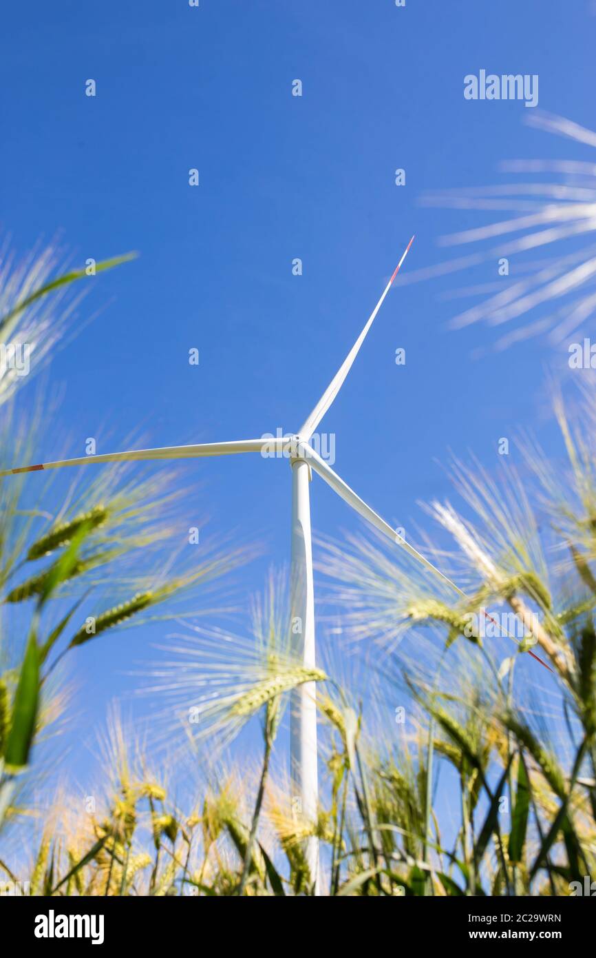 Wind generators installed on agricultural fields. A harmonious ...