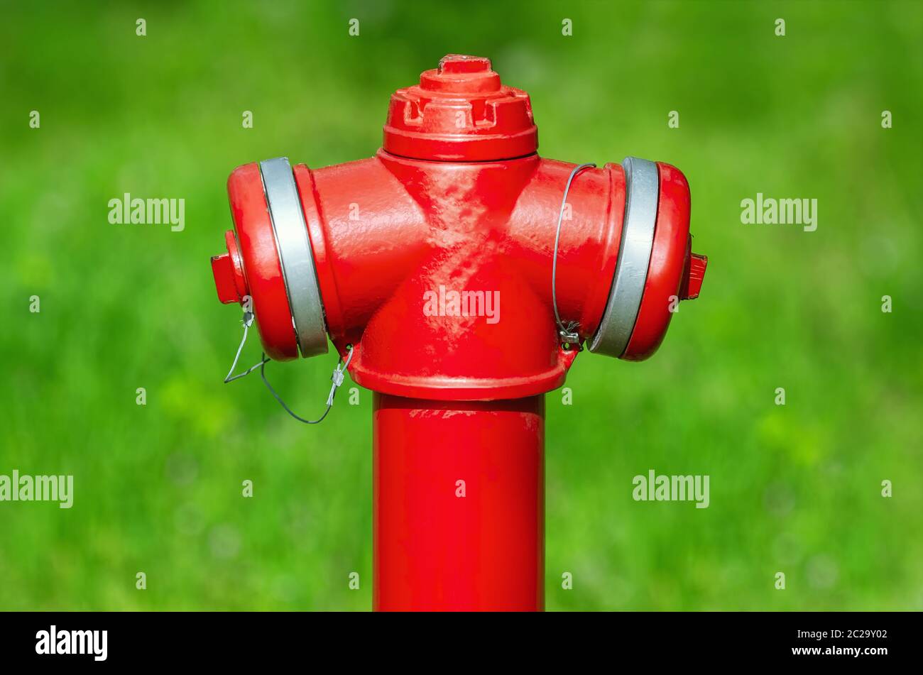 Red fire hydrant against the green background Stock Photo - Alamy