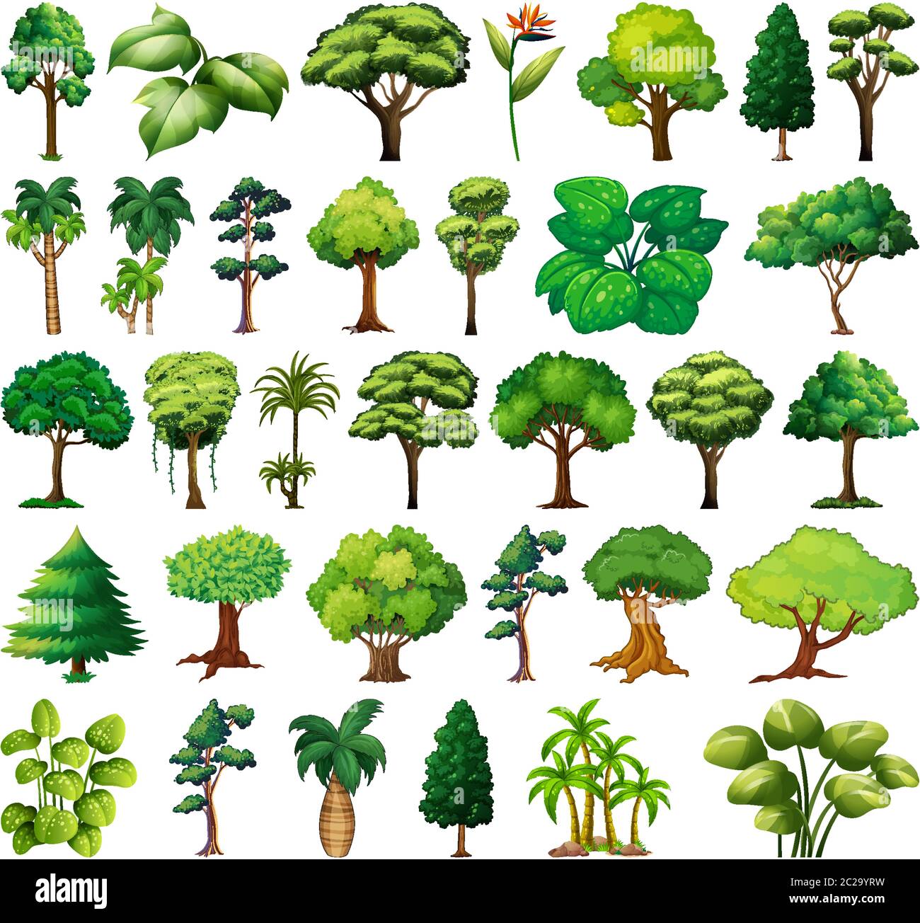 Set of variety plants and trees illustration Stock Vector Image & Art ...