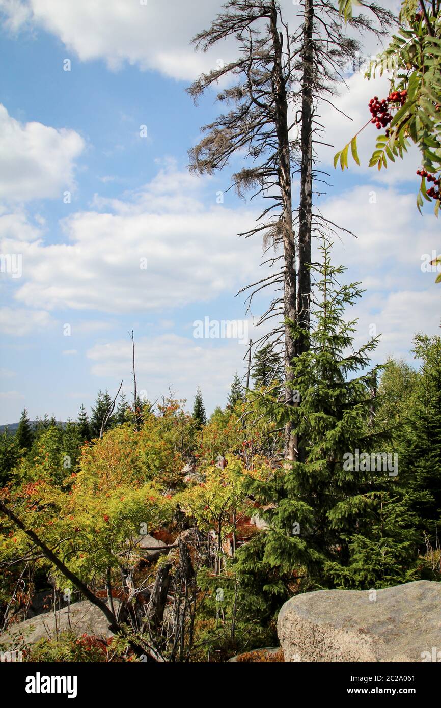 Raven rock forest view hi-res stock photography and images - Alamy