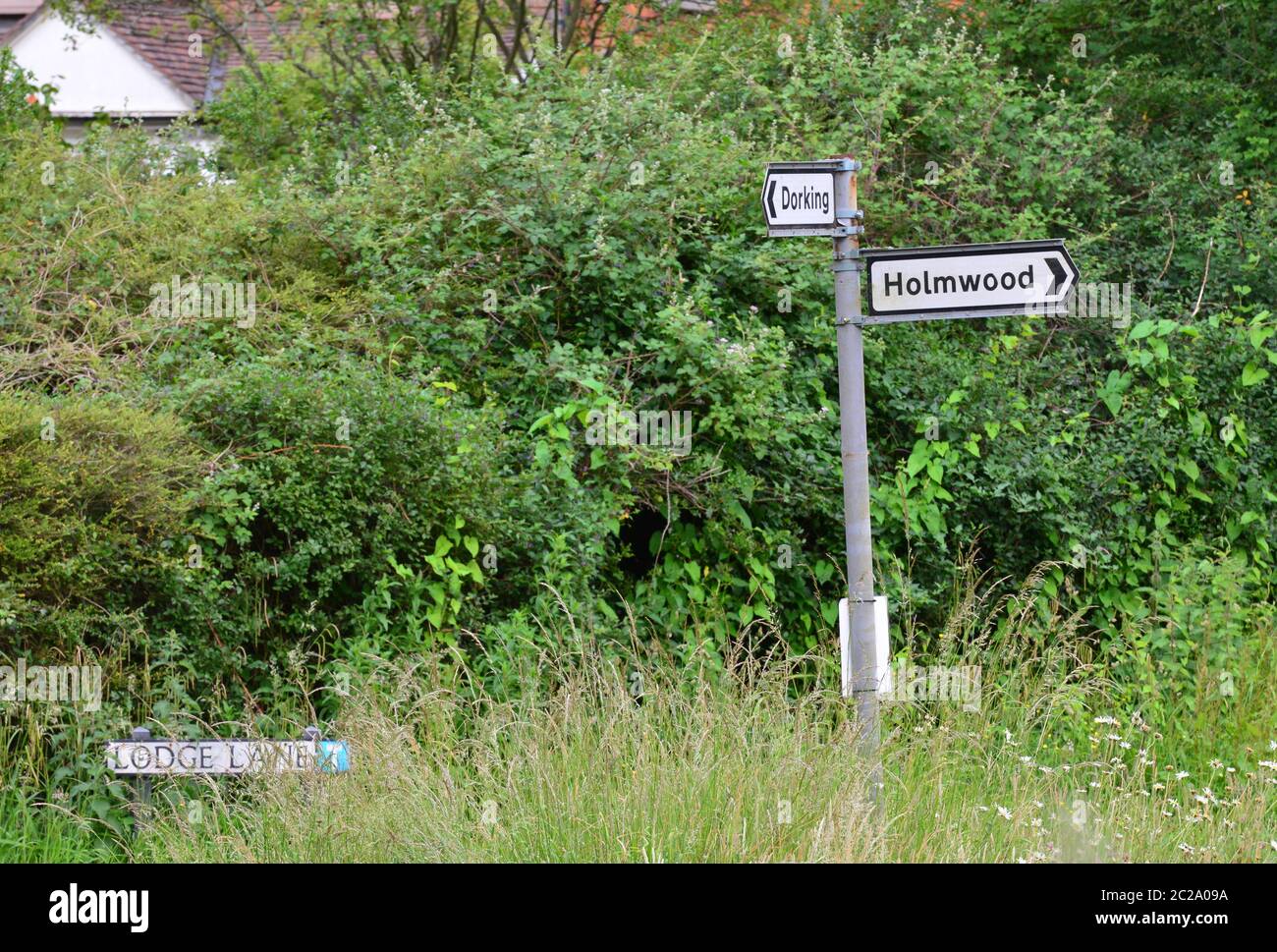 Overgrown road signs hi-res stock photography and images - Alamy