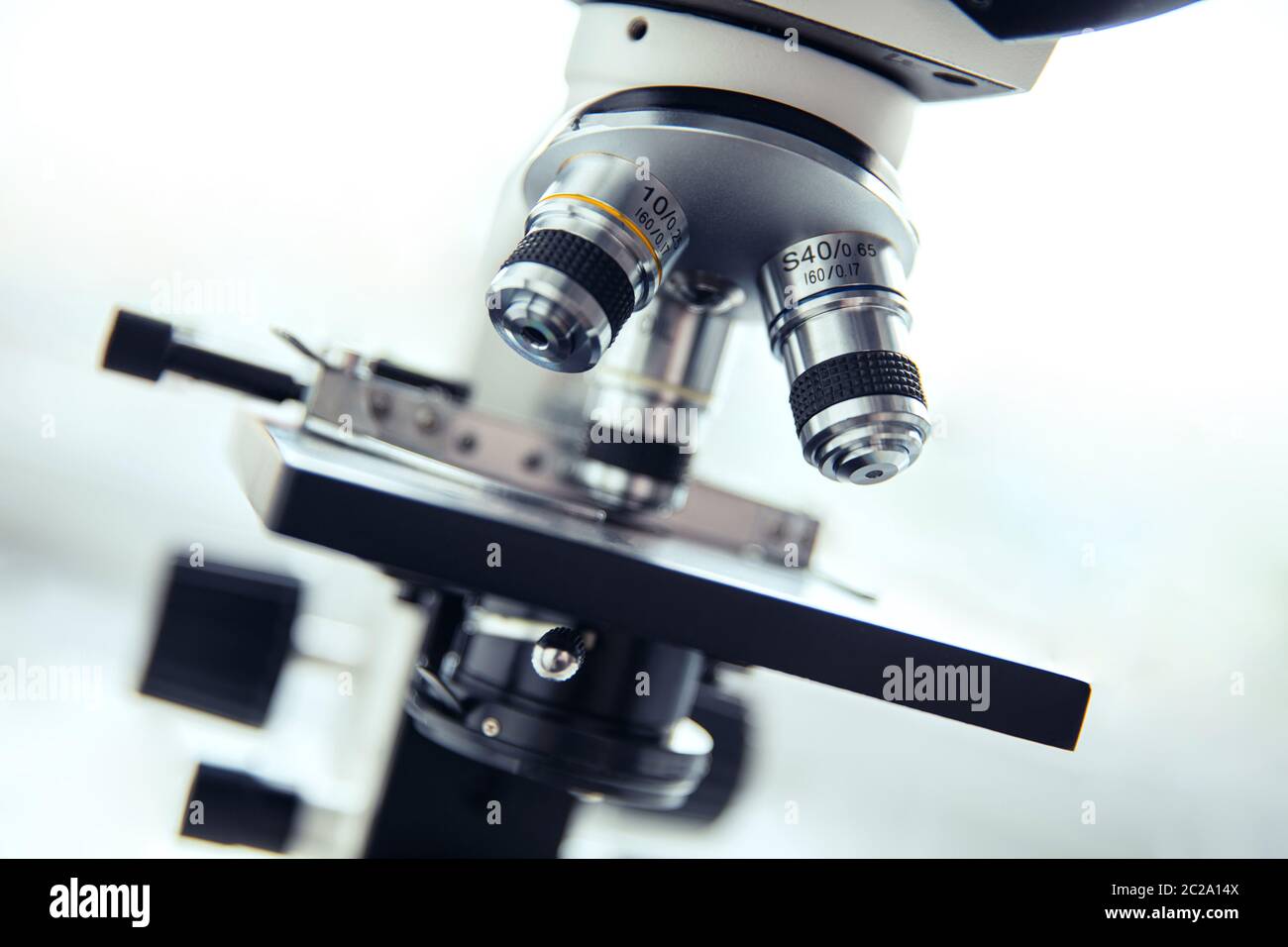 Microbes microscope hi-res stock photography and images - Alamy