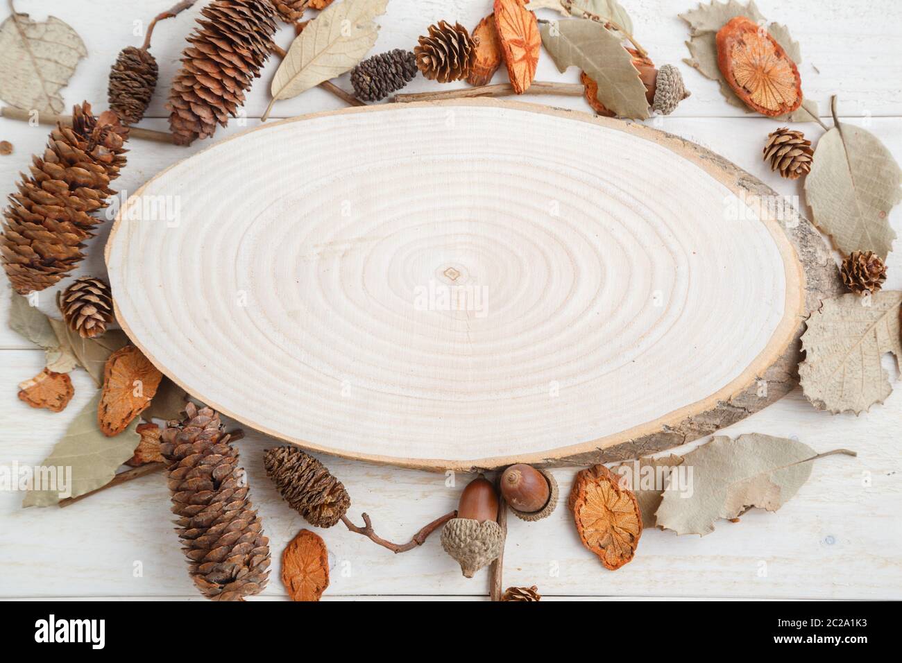 cross-section of a tree on a wooden background in autumn style . top ...