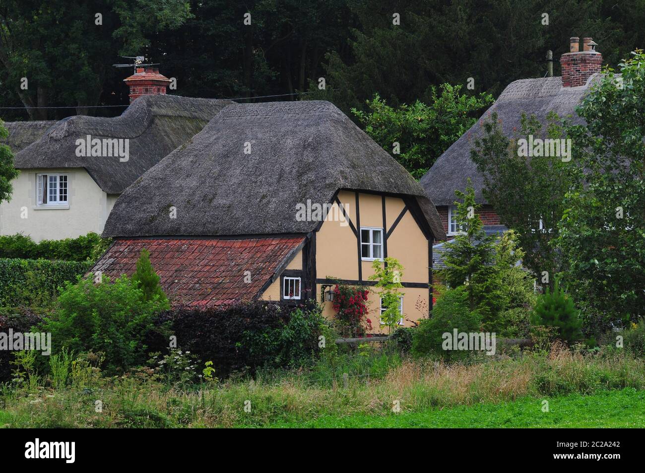 Thatched cottages in New Town, Witchampton, Dorset Stock Photo - Alamy