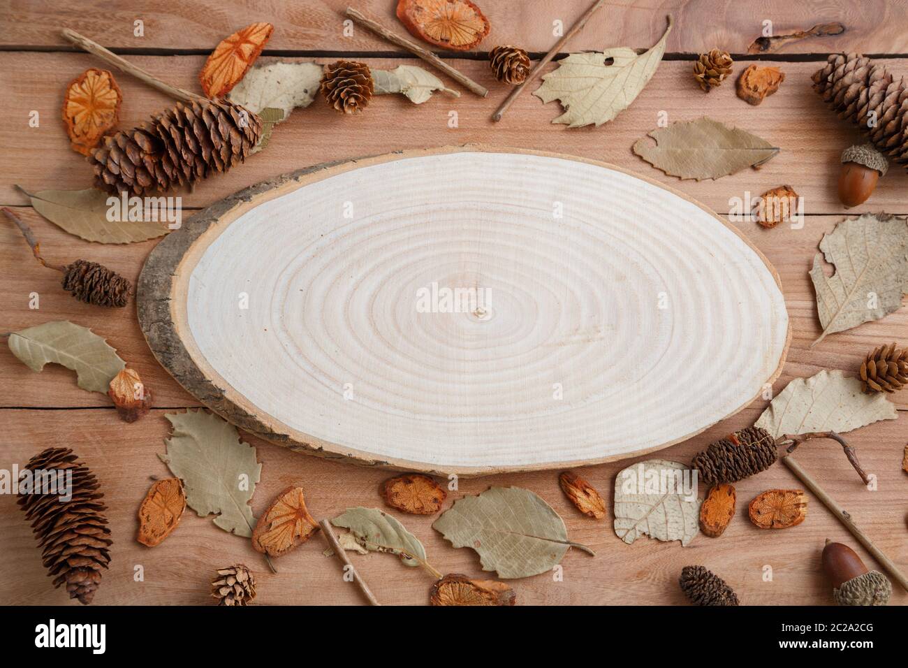 cross-section of a tree on a wooden background in autumn style . top ...