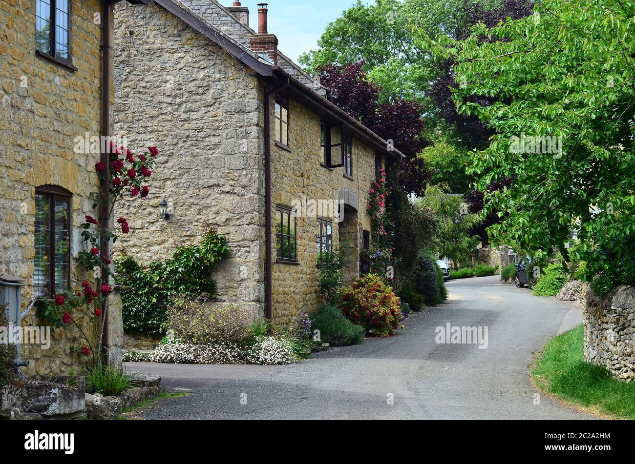 Chapel Street, Shipton Gorge village, west Dorset, UK Stock Photo - Alamy