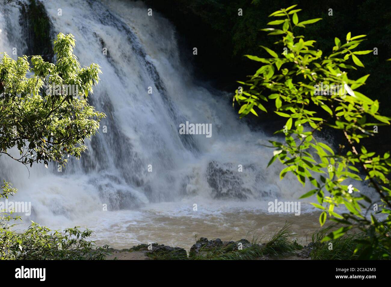 Hu ting hi-res stock photography and images - Alamy