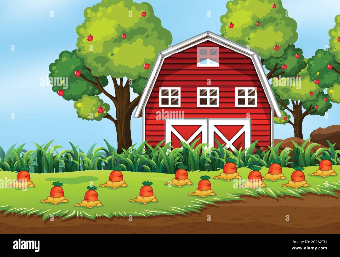 Farm scene in nature with barn and carrot farm illustration Stock ...