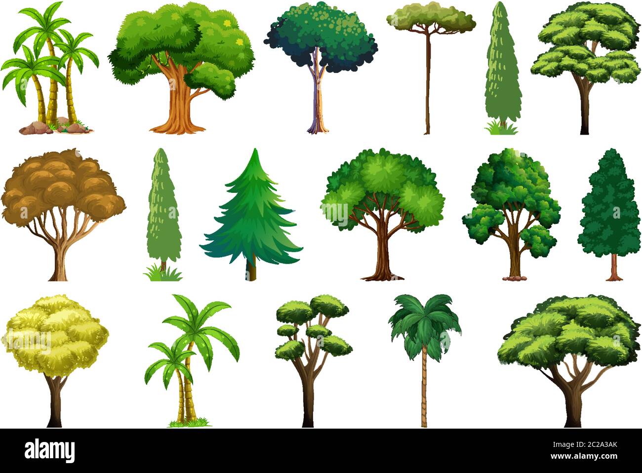Set of variety plants and trees illustration Stock Vector Image & Art ...