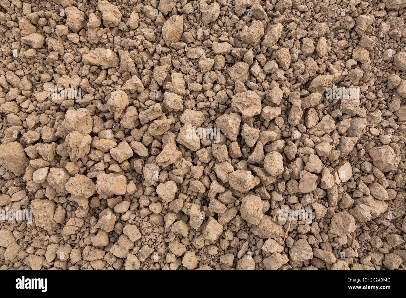 Pebble soil hi-res stock photography and images - Alamy