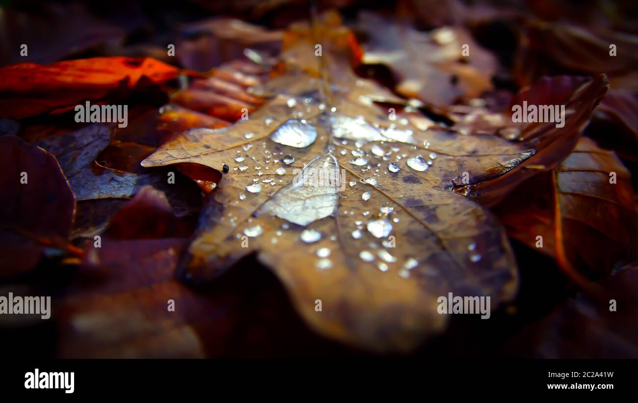 Colours of Nature Stock Photo - Alamy