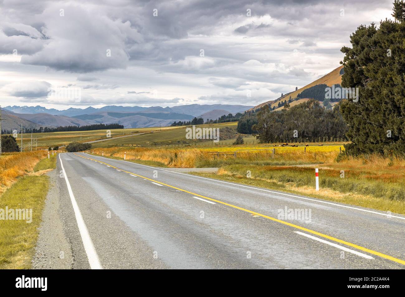 road to horizon New Zealand south island Stock Photo - Alamy