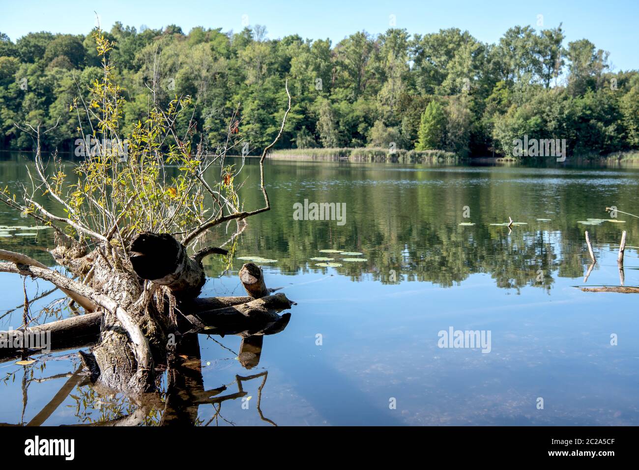 Lake of donatus Stock Photo - Alamy