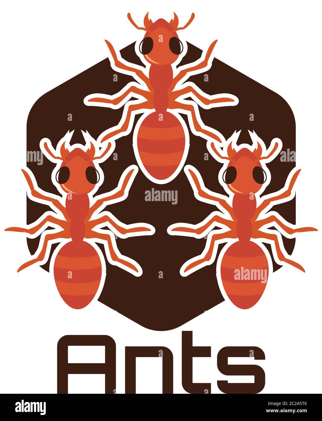Ant Logo Vector High Resolution Stock Photography and Images - Alamy