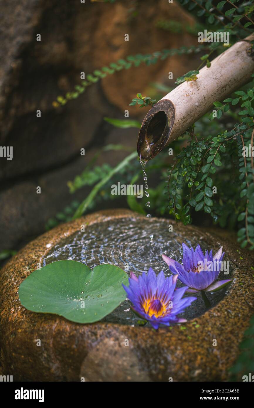 Beautiful zen garden with lotus flower and bamboo fountain on nature ...