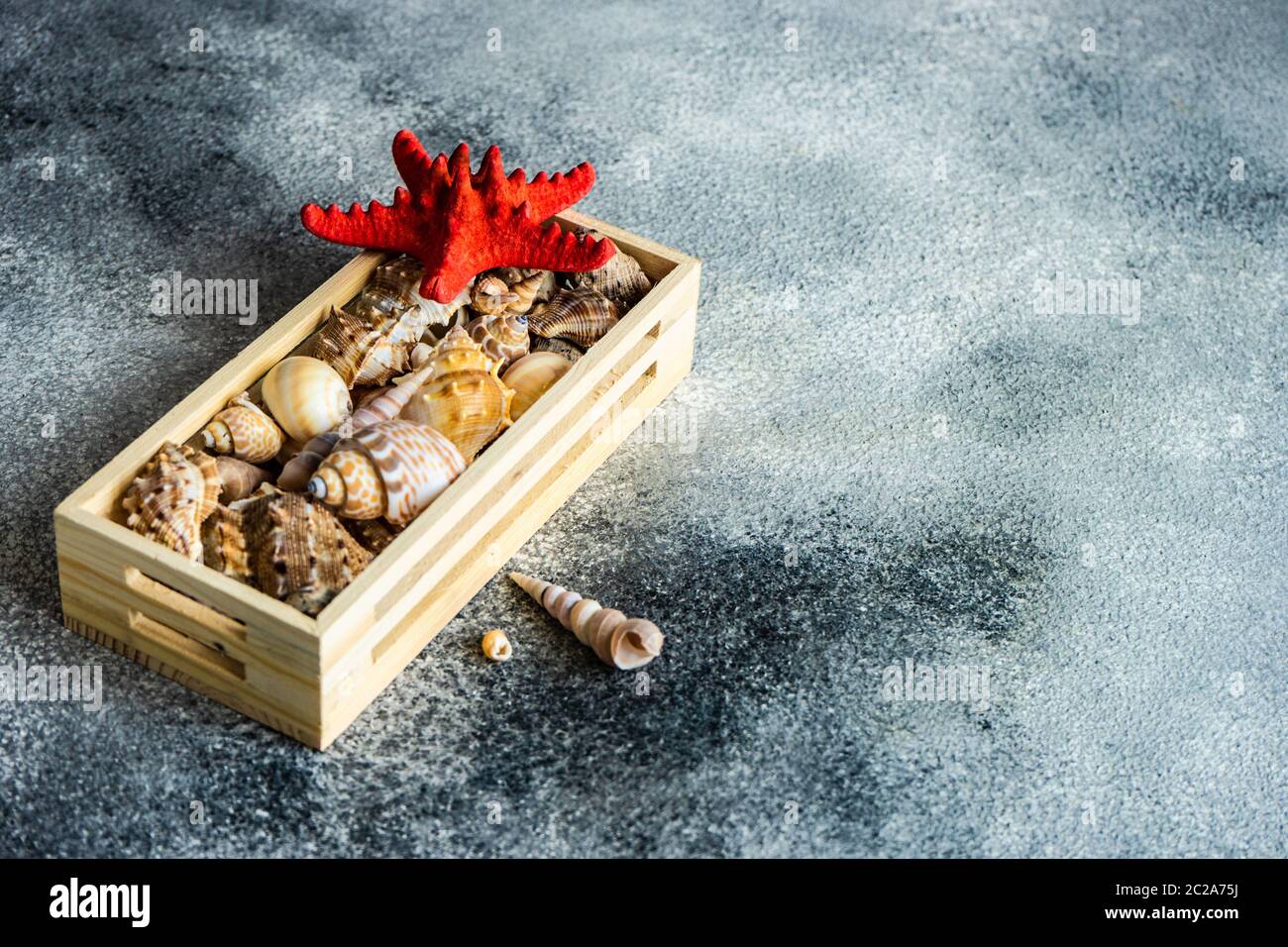 Marine themes concept Stock Photo - Alamy