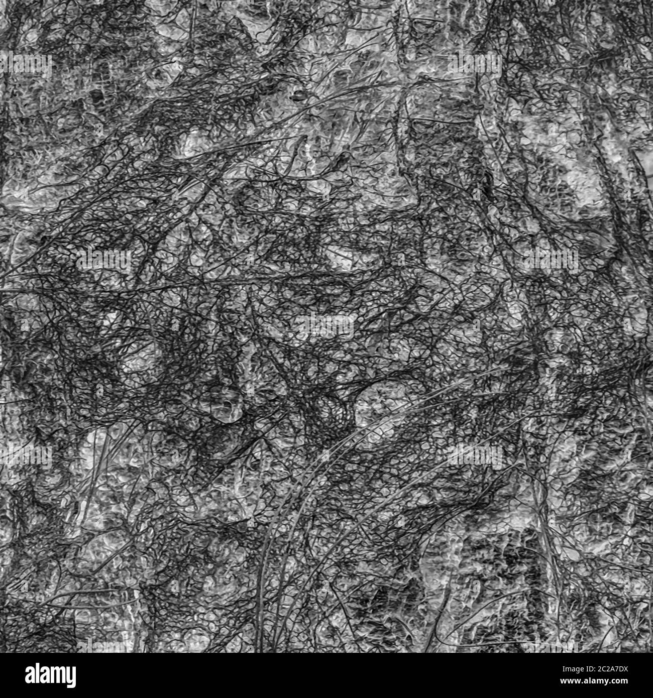 Close up photo organic Black and White Stock Photos & Images - Alamy