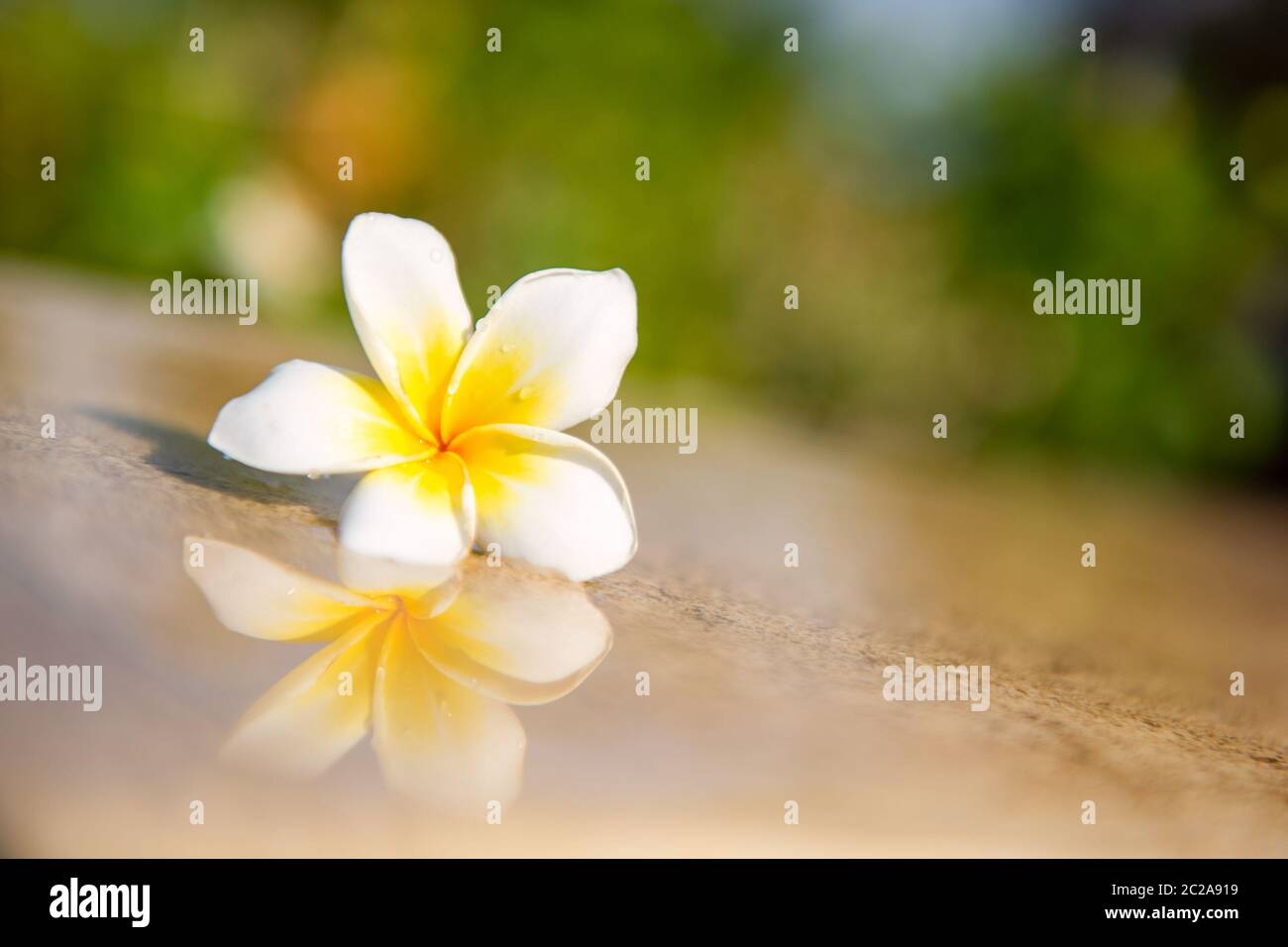 Frangipani spa hi-res stock photography and images - Alamy