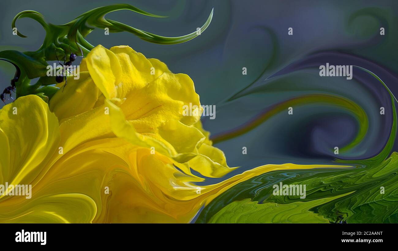 Abstract art digital art manipulation art hi-res stock photography and ...