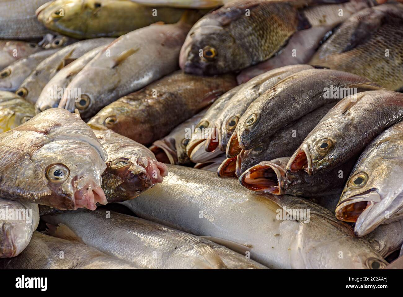 Some fresh fish for sale Stock Photo - Alamy