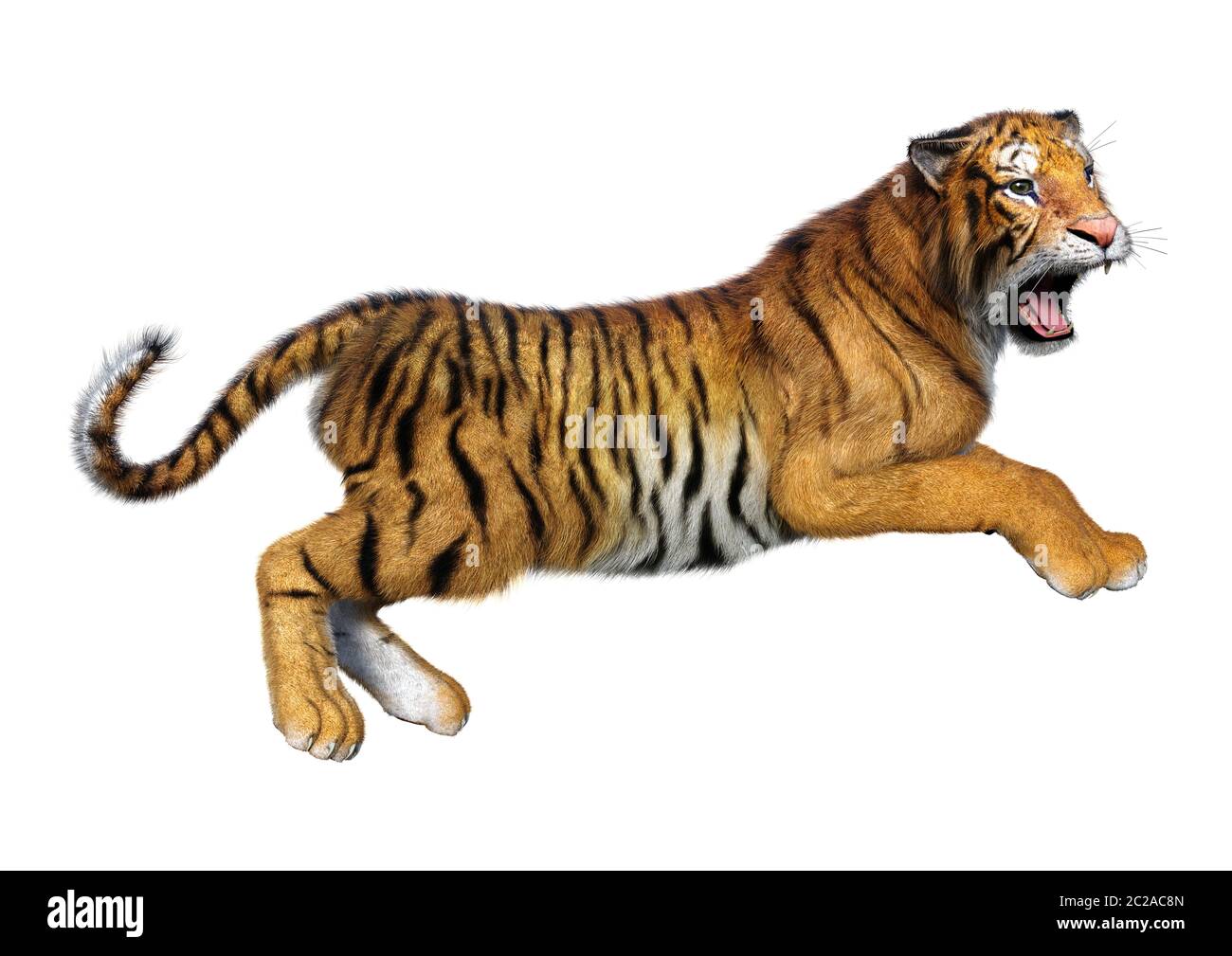 3D rendering of a big cat tiger isolated on white background Stock ...